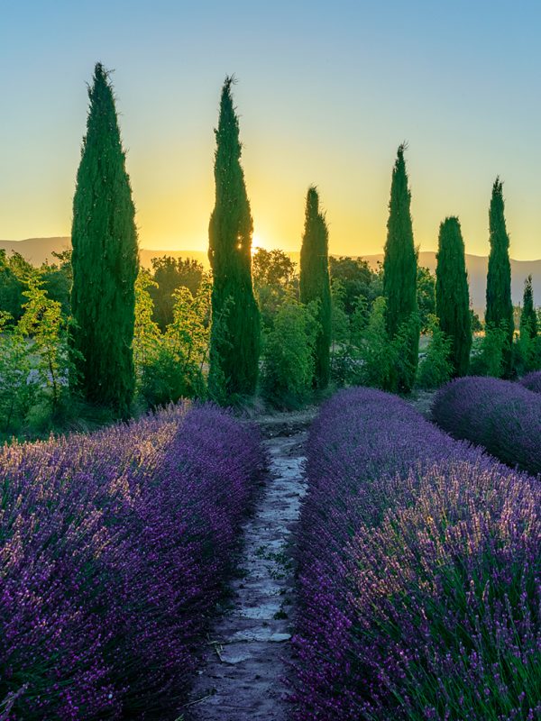 Christian Heeb - Travel and Nature Photography Tours and Workshops