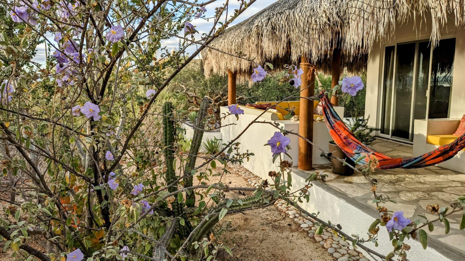 Baja California Nature - Christian Heeb